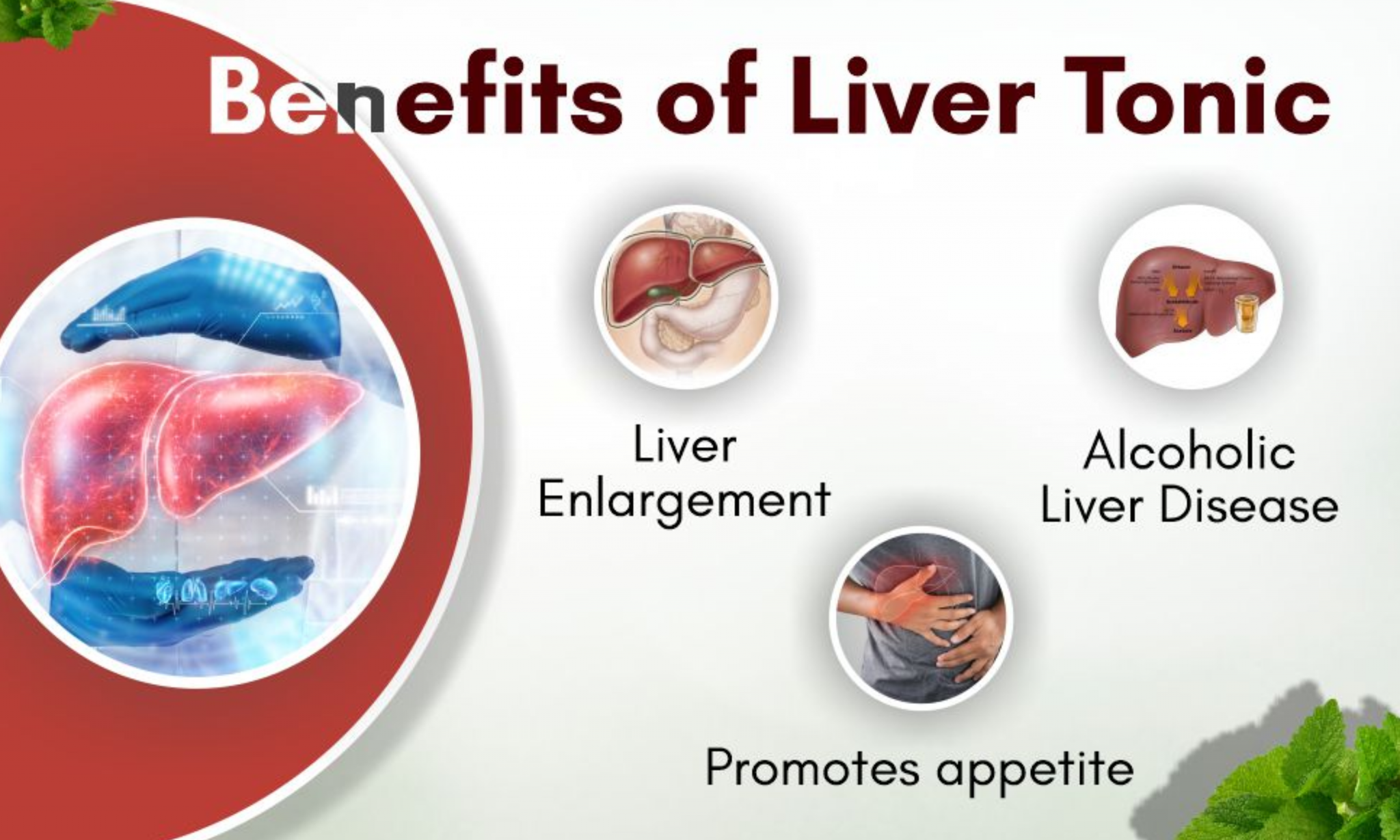 Power of Liver Tonics: Transforming Your Health from Within